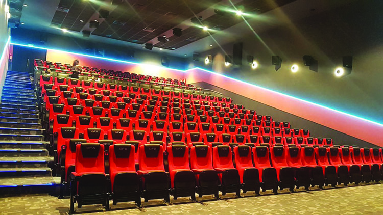 २०७९ मा १३५ फिल्म प्रदर्शन : कमाइ ५२० देखि २१ करोडसम्म, यी हुन् ...